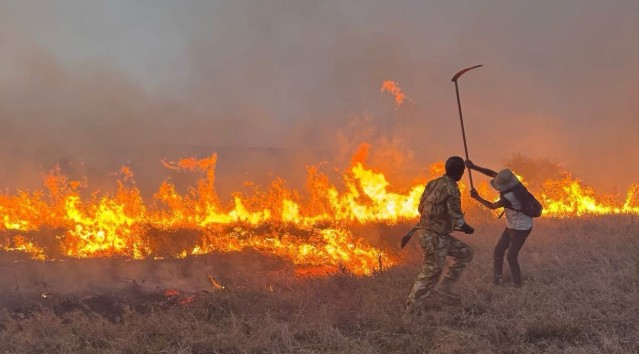 Wildfires Break Out at Nairobi National Park Amid Escalating Dry Season ...