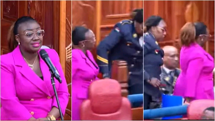 Senator Orwoba Walks Out of Senate Over ‘Self-Incriminating’ Apology | Aasai